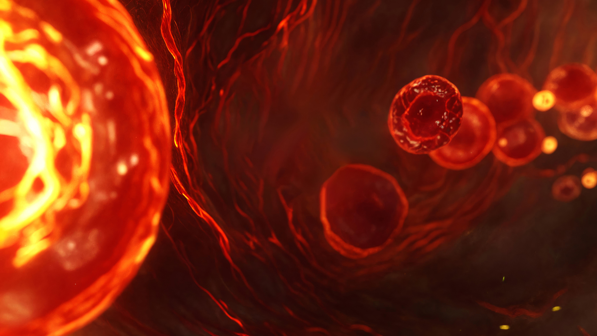 Check4Cancer and Alula Health launch partnership - Healthcare Today